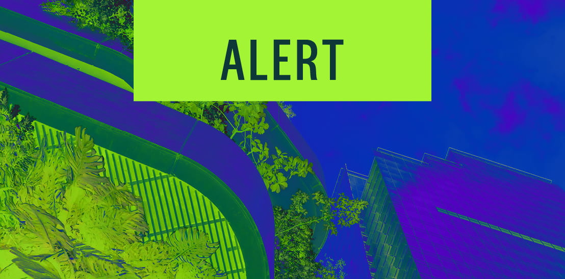 2025 Market Recap and What to Expect in 2026