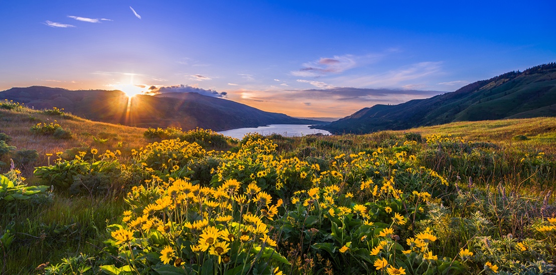 Moss Adams and Baker Tilly Join Forces