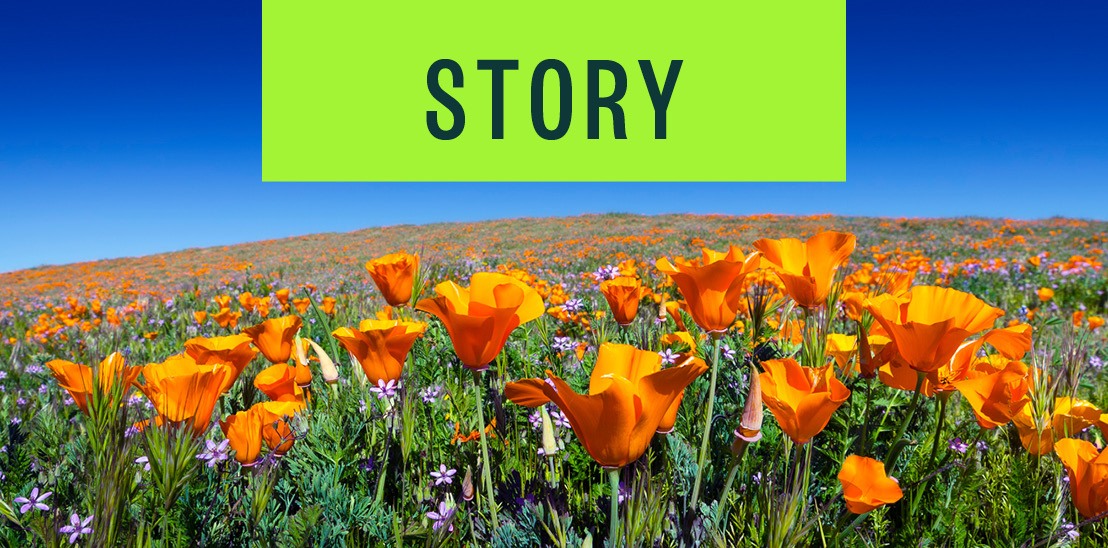 Welcome Back, Michelle Muth Ausburn!